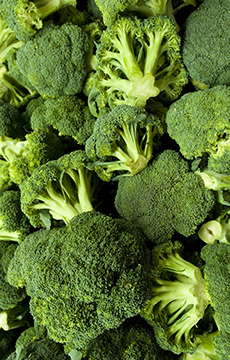 broccoli_bulk_2 - Brighter Bites